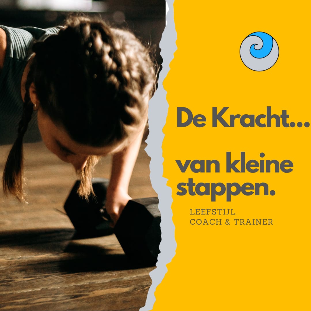 De Kracht van kleine stappen. Beginnen met trainen- Teora